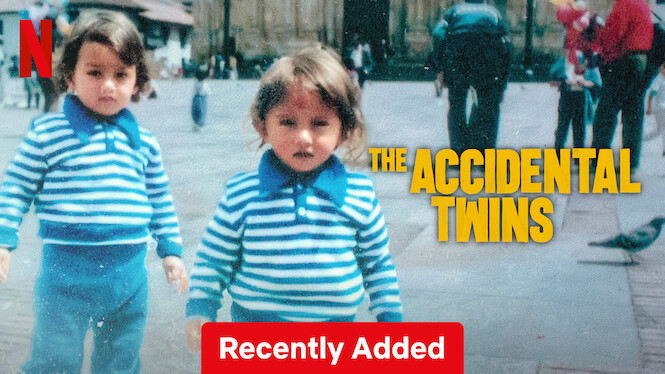 The Accidental Twins (2024) - Netflix | Flixable